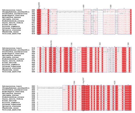 Functional And Structural Characterization Of A Novel Isoamylase From