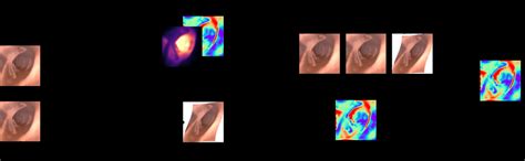 Self Supervised Training Of Deep Ensembles Each Network M In The