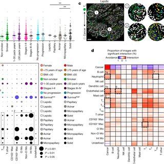 Single Cell Populations And Neighbourhoods Are Associated With Distinct Download Scientific