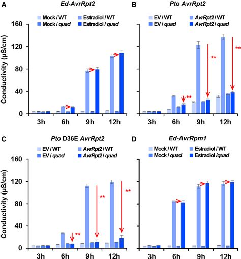 A Plant Effector‐triggered Immunity Signaling Sector Is Inhibited By Pattern‐triggered Immunity