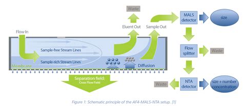 Exosome Characterization In Biological Matrices Using Asymmetrical Flow Field Flow Fractionation