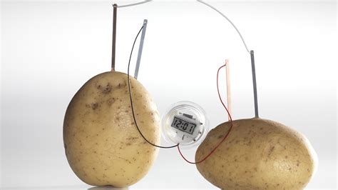 Potato Light Bulb Explanation Americanwarmoms Org