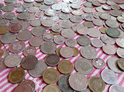 coin project object detection dataset and pre trained model by test