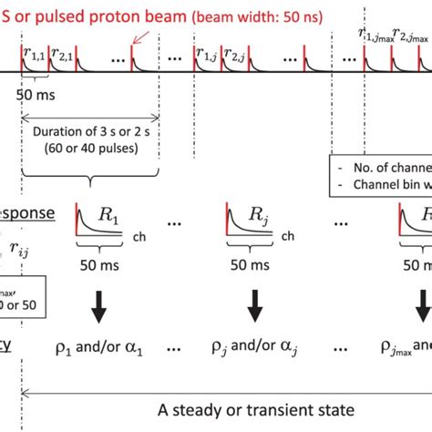 Figure Schematic Of The Temporal Relationship Of The Measurement Download Scientific Diagram
