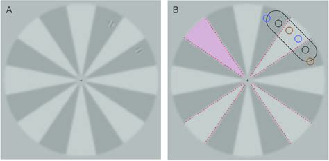 The Stimulus Setup A The Targets Two Grating Stimuli Always 30åpart
