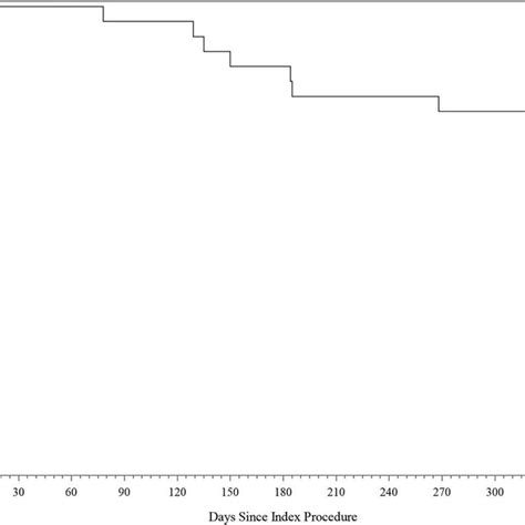 Fig Ure 4 12 Month Primary Patency Per Patient Primary Patency Was Download Scientific Diagram