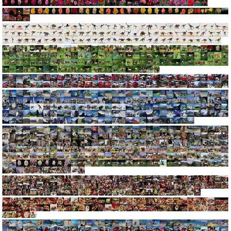 A Clustering Result Obtained By Multinomial Mixture For The