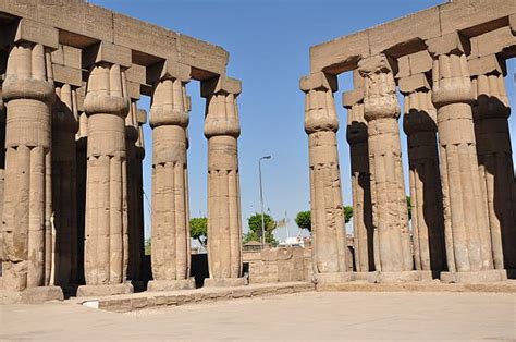 20 Collums Fotografías De Stock Fotos E Imágenes Libres De Derechos