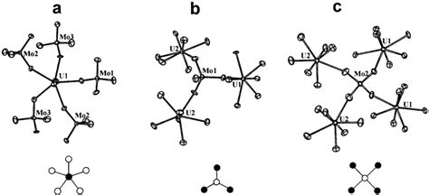 Local Coordination Of U A And Mo B C In The Structure Of Download Scientific Diagram