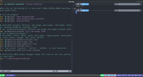 Bug Doesnt Display Ram Value · Issue 165 · Draculatmux · Github