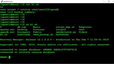 Linux Rman Commands Not Executing In Sh File Stack Overflow