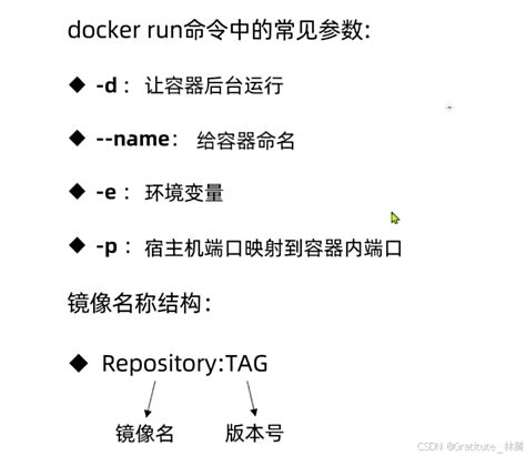 Docker 命令解读 Csdn博客