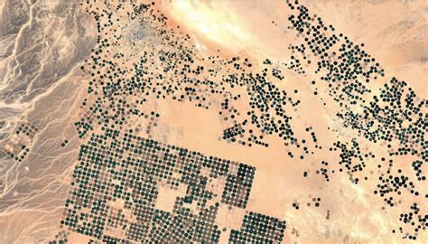 Segmentation Performant Blob Detection In Images Mathematica Stack