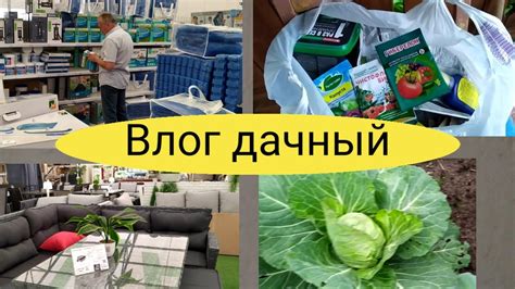 Леруа, купила нужное для сада огорода ... - YouTube