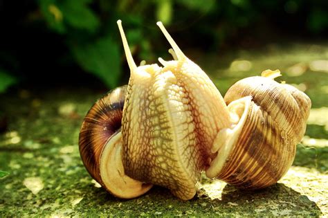 Slow Sex Γιατί αξίζει να το δοκιμάσεις Point Of View