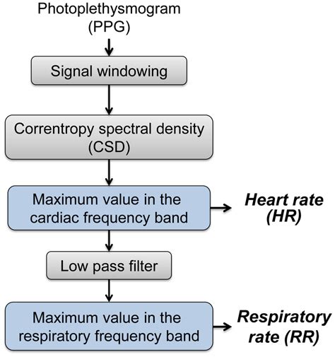 Overview Of The Csd Based Algorithm Initially The Ppg Signal Is
