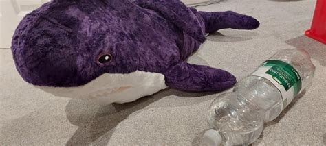 Comprehensive Guide Rin Penrose Rblahaj