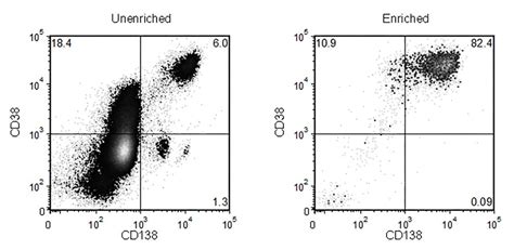 Easysep™ Human Bone Marrow Cd138 Positive Selection Kit Ivd Stemcell Technologies
