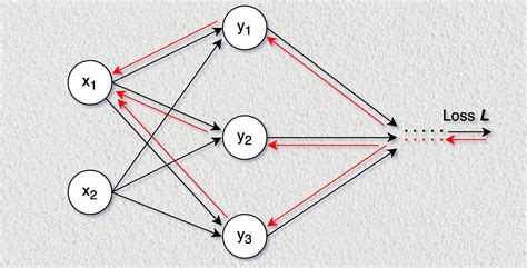 Geometric Insights Convexity Concavity Curvature By Liyuan Chen