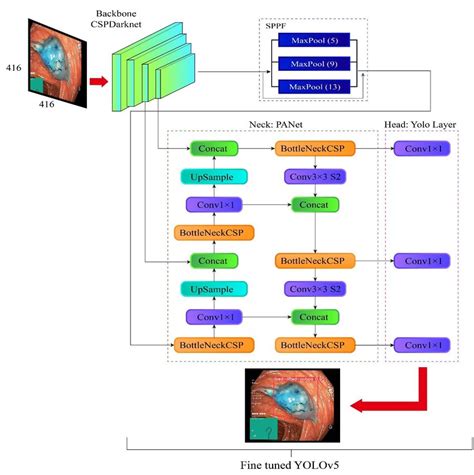 Architecture Of Proposed Model Where Cspdarknet Used As Backbone Panet Download Scientific