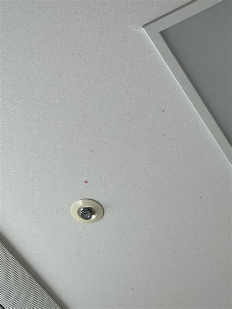 잡담 에어비앤비 호텔숙소 왔는데 천장 왜이래 인스티즈instiz 일상 카테고리