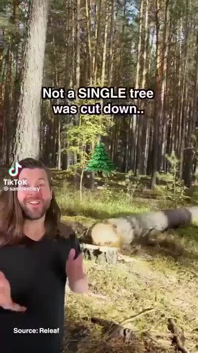 Ai Echo On Linkedin Technology Future Creativity Innovation