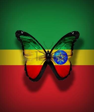 Heraldry Of Life E World Butterfly ART With Flag Of States