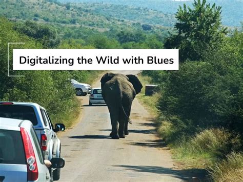 Revolutionizing Wildlife Monitoring Tinyml Iot And Lora Technologies With Xiao Esp32s3 Sense