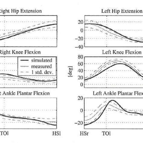 PDF Human Walking Dynamics Modeling Identification And Control