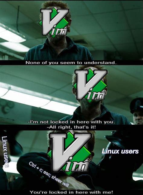 Me Typing Vim Into This Funny Black Box I Don‘t Know If This Kind Of