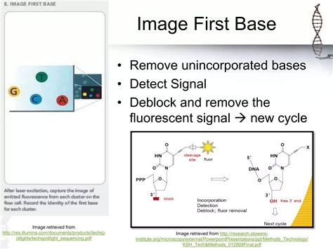 Illumina Sequencing PPTX