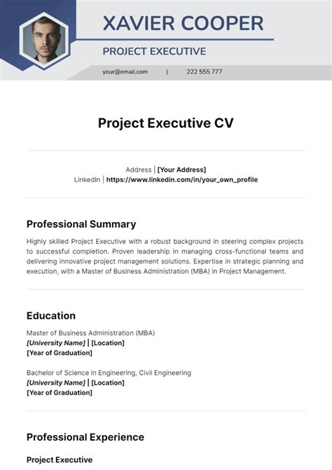 Free Project Executive CV Template To Edit Online