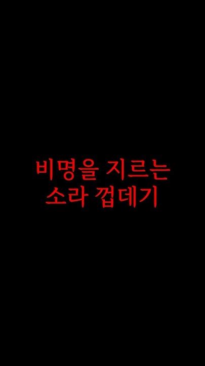 비명을 지르는 소라 껍데기 괴담 무서운이야기 Youtube