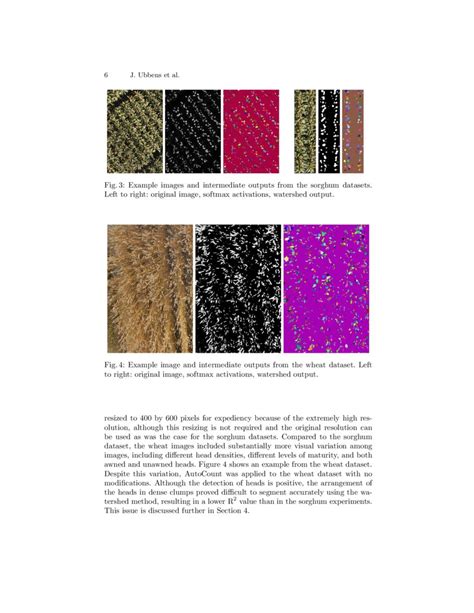 Autocount Unsupervised Segmentation And Counting Of Organs In Field Images Deepai