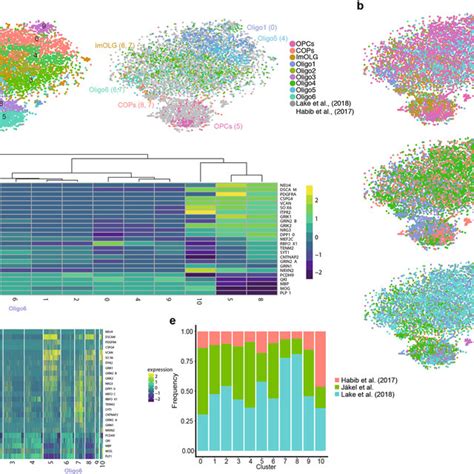 Seurat Cca Clustering Of Snrna Seq Dataset At Different Clustering Download Scientific Diagram