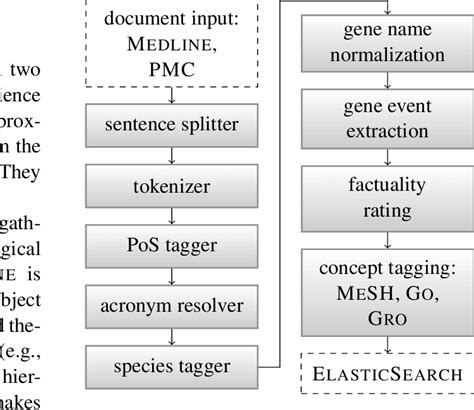 semedico s text analytics pipeline download scientific diagram