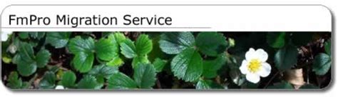 Services By Solutions Inc FmPro Migration Service