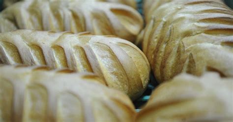 В Перми на месяц закрыли еще одну точку сети опасных пекарен Новости Mail