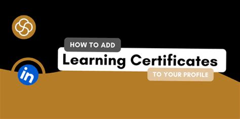 How To Add Linkedin Learning Certificates To Your Profile And Showcase Your Skills Socialsense