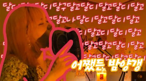 [cover] 밤양갱 Bibi 비비 Youtube