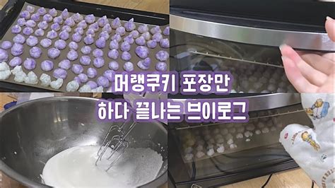 머랭쿠키 포장만 하다 끝나는 브이로그 09 Youtube
