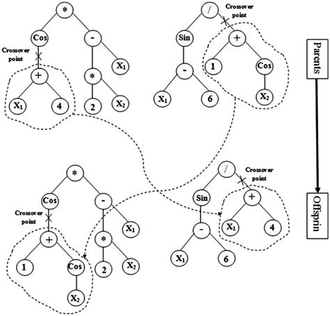 Schematic Of Crossover Operation Download Scientific Diagram