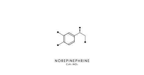 Norepinephrine Molecular Structure White Norepinephrine T Shirt Teepublic