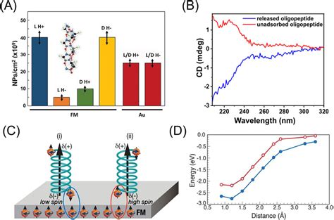 A Enantio Specific Adsorption From L And D Oligopeptide Solutions Download Scientific Diagram