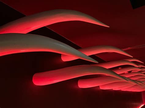 Matthew Cefai 摄影