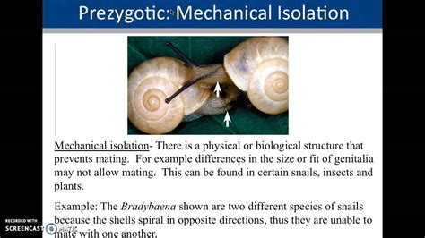 Behavioral Isolation Example