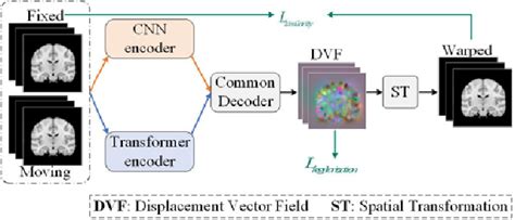 Figure 1 From A Dual Flow Neural Network For Medical Image Registration