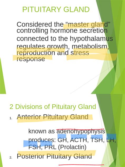 Hypo Hyperfunctionofthepituitarygland Pdf Growth Hormone Glands