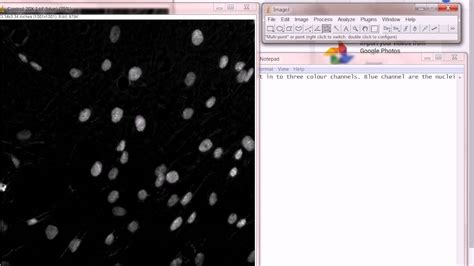 Counting In Imagej At Alfred Sullivan Blog