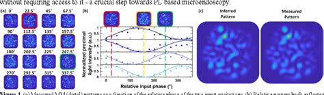 Coherent Beam Shaping With Multicore Fiber Photonic Lanterns Semantic
